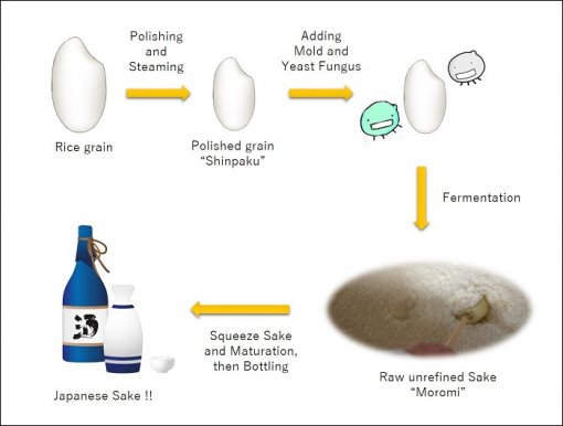 Japanese Sake 101 | OrientalSouls.com