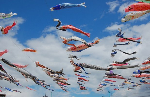 Koinobori, Japanese Carp Flag, history and customs in Japan ...