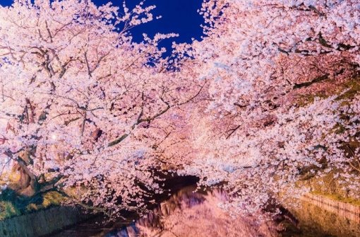 The Secret Meaning of Japan’s Traditional Colours: Expression in Art ...